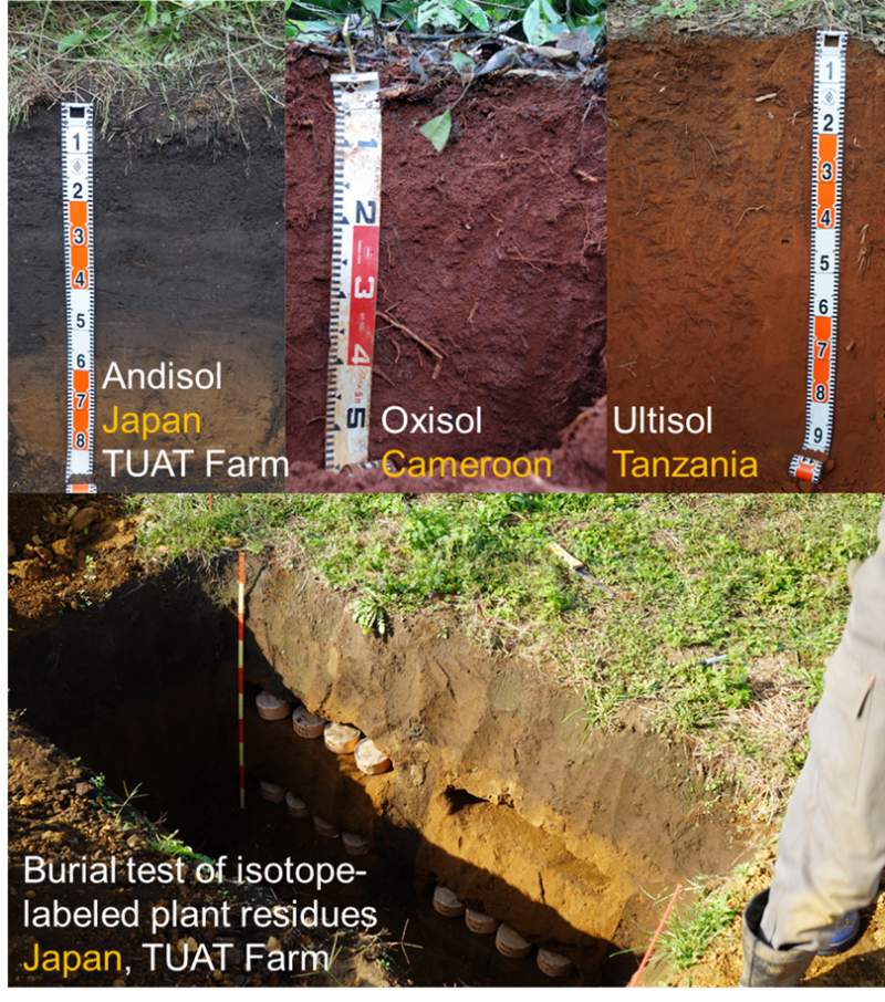 New research topic has been added: Elucidating Soil Carbon Accumulation Mechanisms to Maximize ...