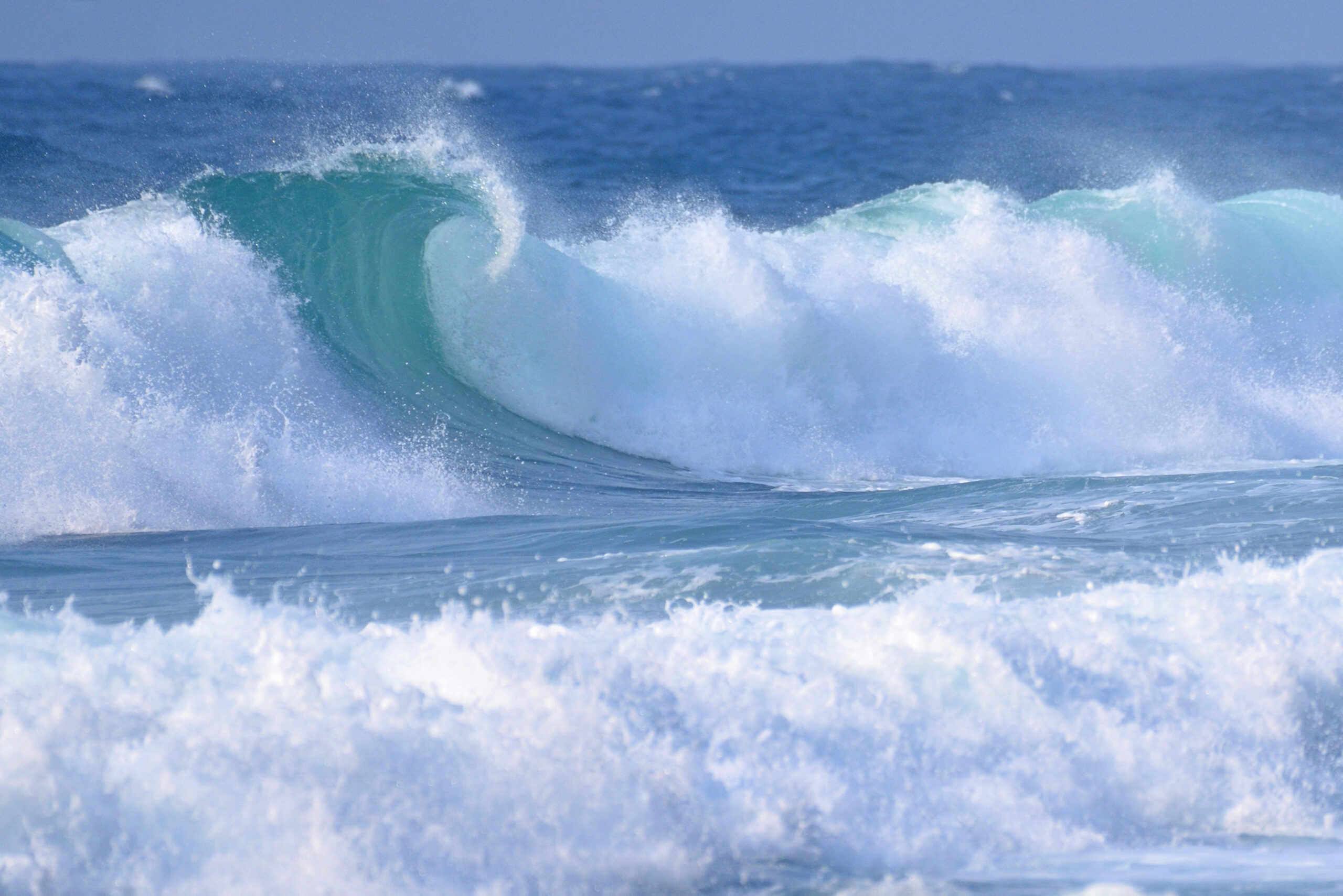 メンバー – BX・GX国際教育研究拠点